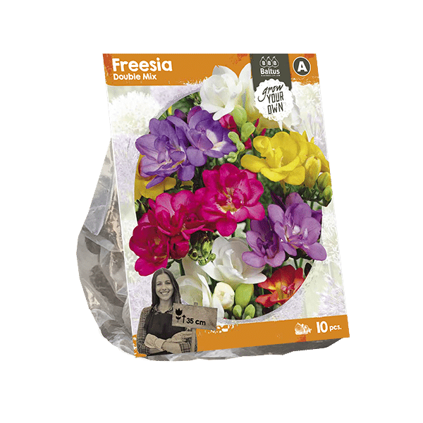 Freesia Double Mix x10 bulbs - Sherries Estates