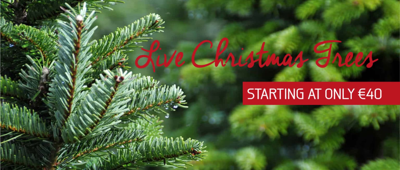 Home - Sherries Estates