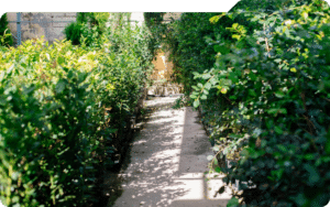 Home - Sherries Estates